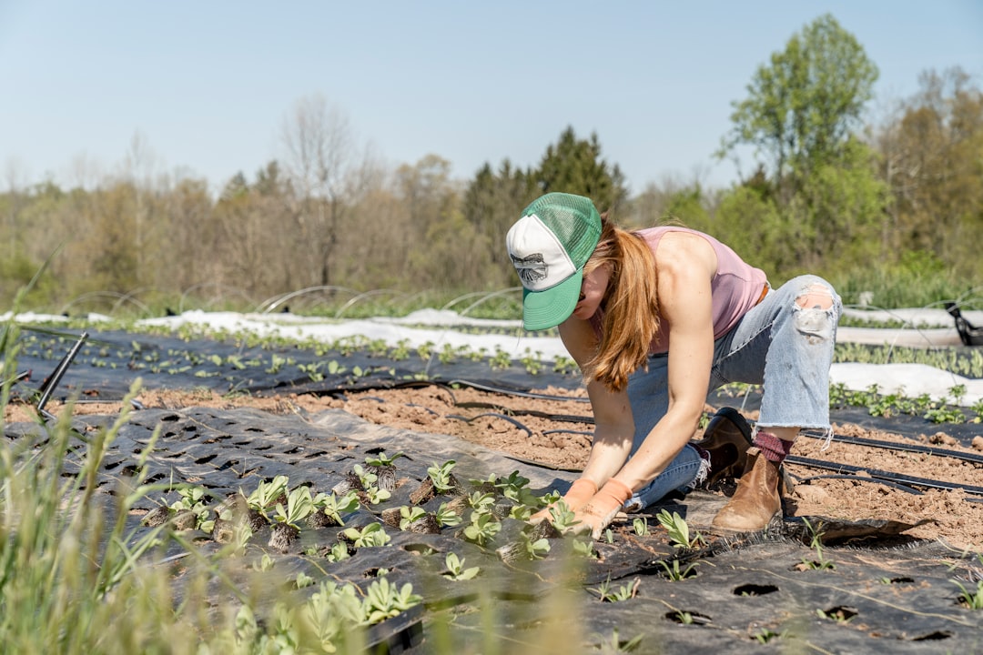Best Vegetables for Greenhouse Growing: High-Yield Crops…