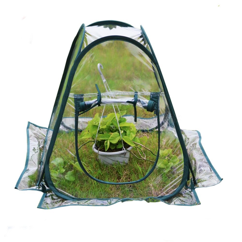 Mini Greenhouse Guide | Complete Buying Guide & Comparison | Sierra ...