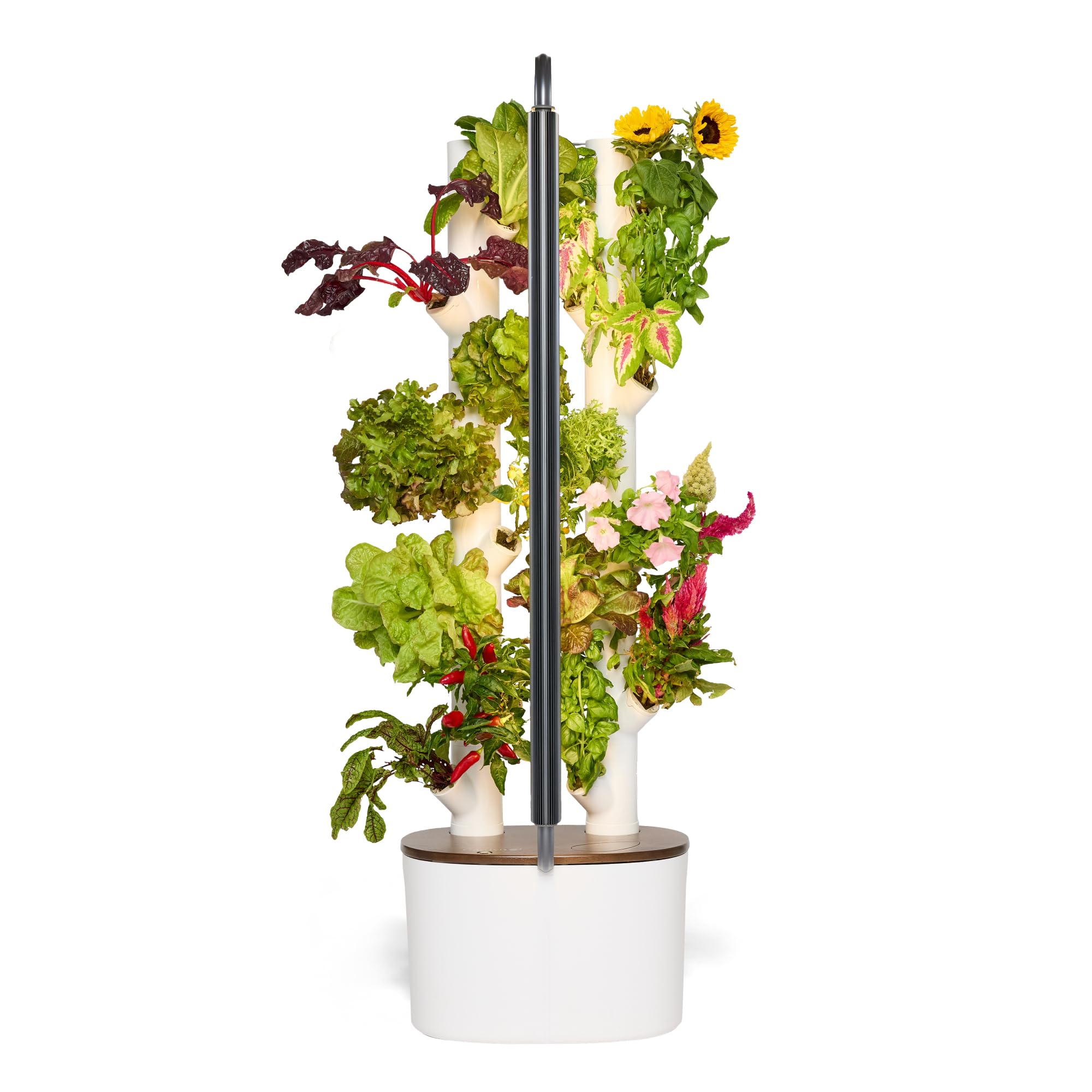 Gardyn Studio Hydroponics Growing System Kit & Vertical Ind… | Sierra ...
